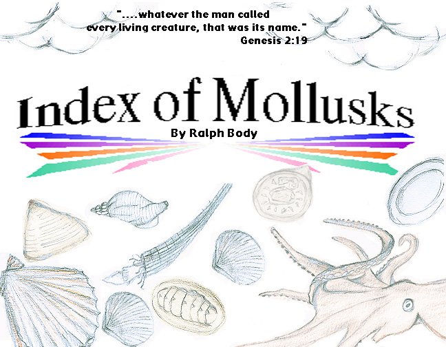 NatureMapping Mollusk Module